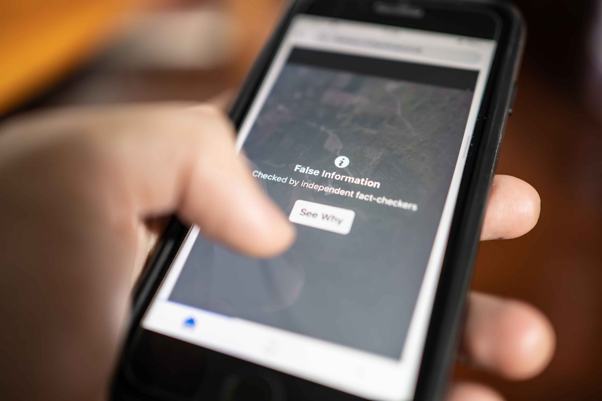 Two Perspectives on the Offline Consequences of Online Disinformation ...